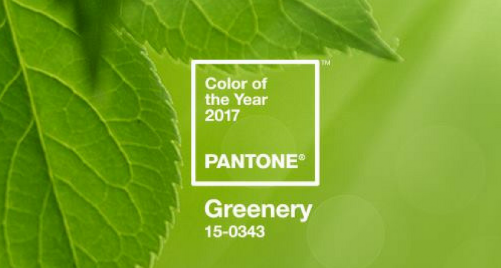 Greenery: Pantone Color Of The Year - Owner's Magazine