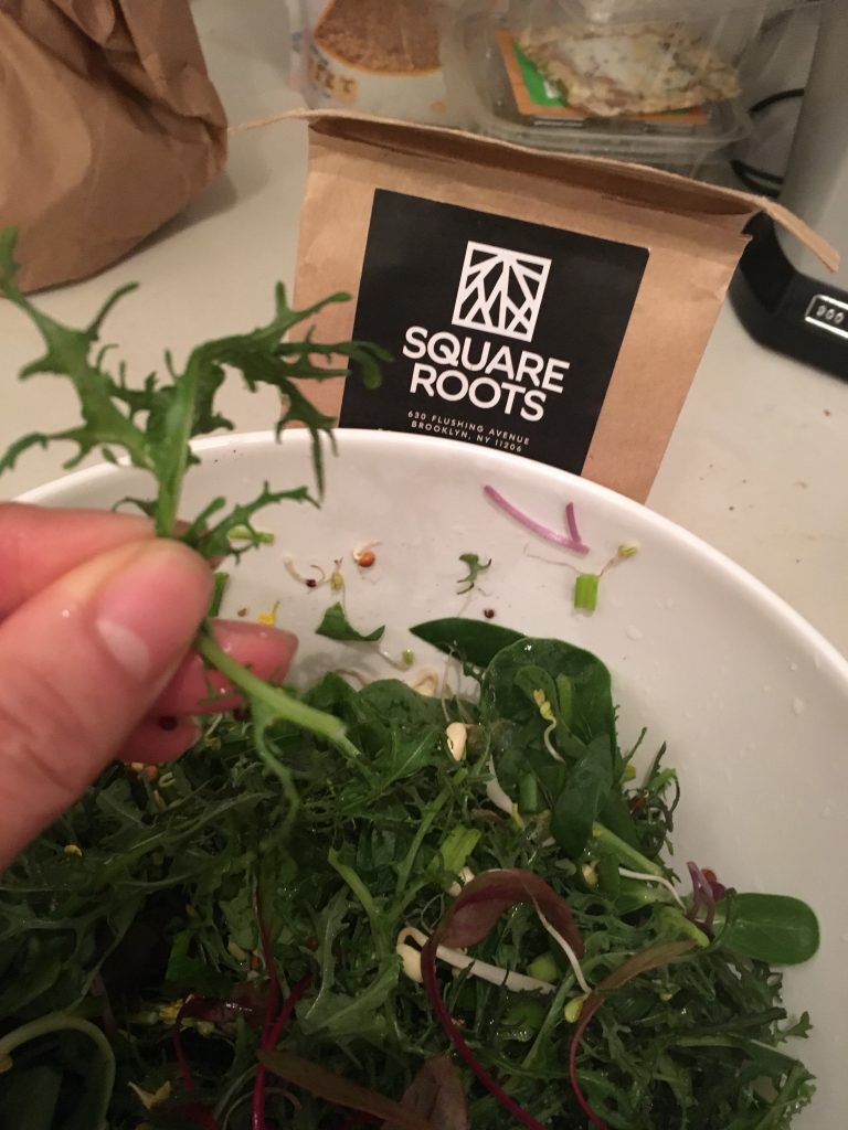 Q&A with Tobias Peggs: CEO of Square Roots - Owner's Magazine