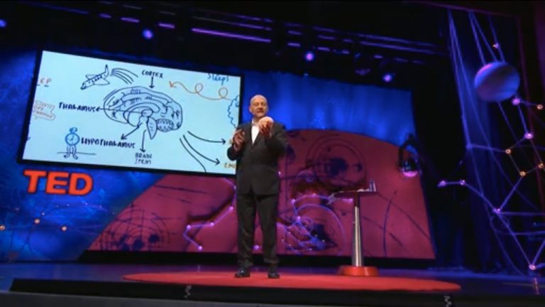Top 10 Ted Talk Presentations Using Engaging Visuals - Owner's Magazine