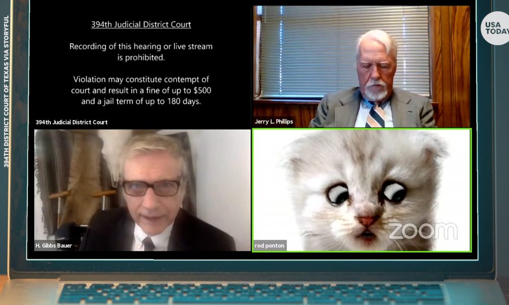 Best Zoom Fails - Owner's Magazine