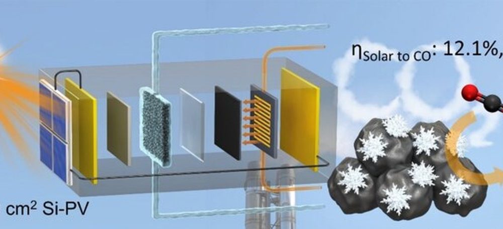 Artificial Photosynthesis: An Emerging Technology - Owner's Magazine