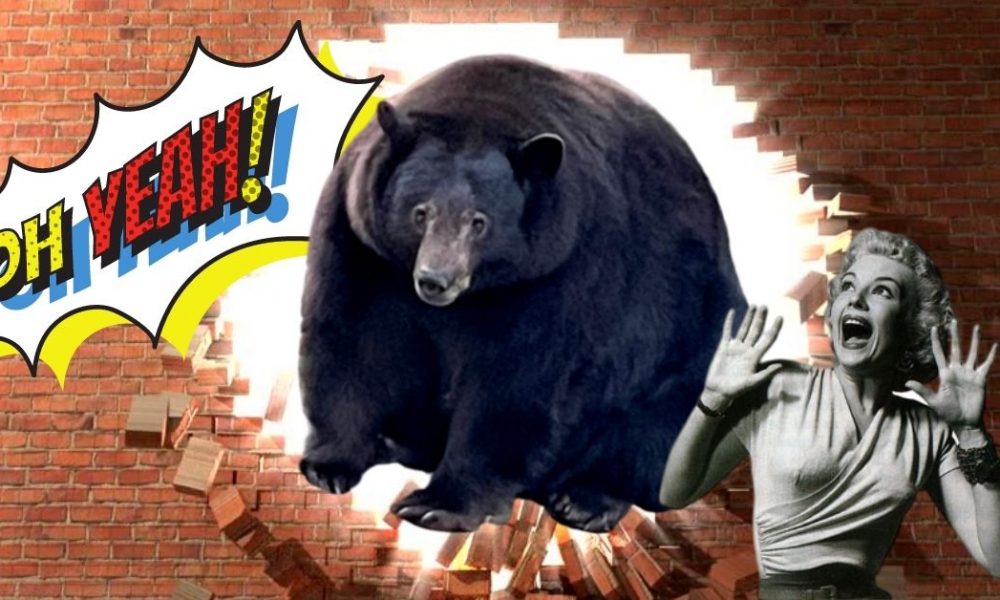 The Hunt For Hank The Tank - Owner's Magazine