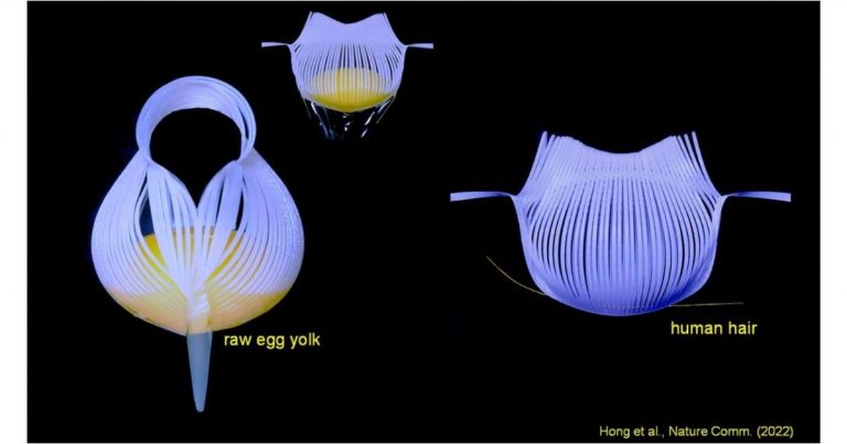 Origami-inspired Robot Gripper Can Lift Egg Yolks, Delicate Objects ...
