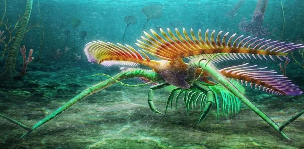 Scientists Published Research on Newly Discovered Aquatic Arthropod ...