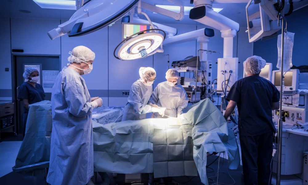 Researchers Create Snake Robot That Could Help Detect Cancer - Owner's ...