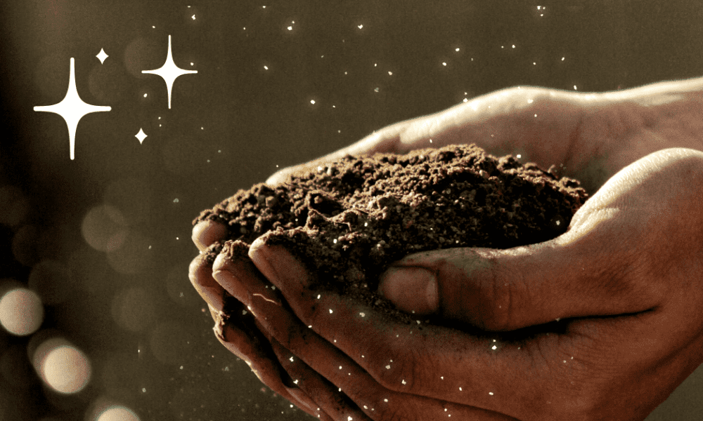 What The Hell Was Magic Dirt? - Owner's Magazine