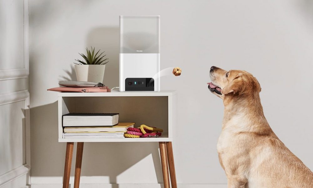 Top 10 Pet Tech Products That Redefine How We Care for Pets - Owner's ...
