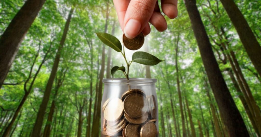 Red Brick Distillery: Urban Craft Whiskey Done the Hard Way - Owner's ...