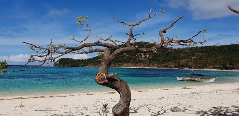 8 Hidden Beaches in the Philippines to Visit Before You Die - Owner's ...